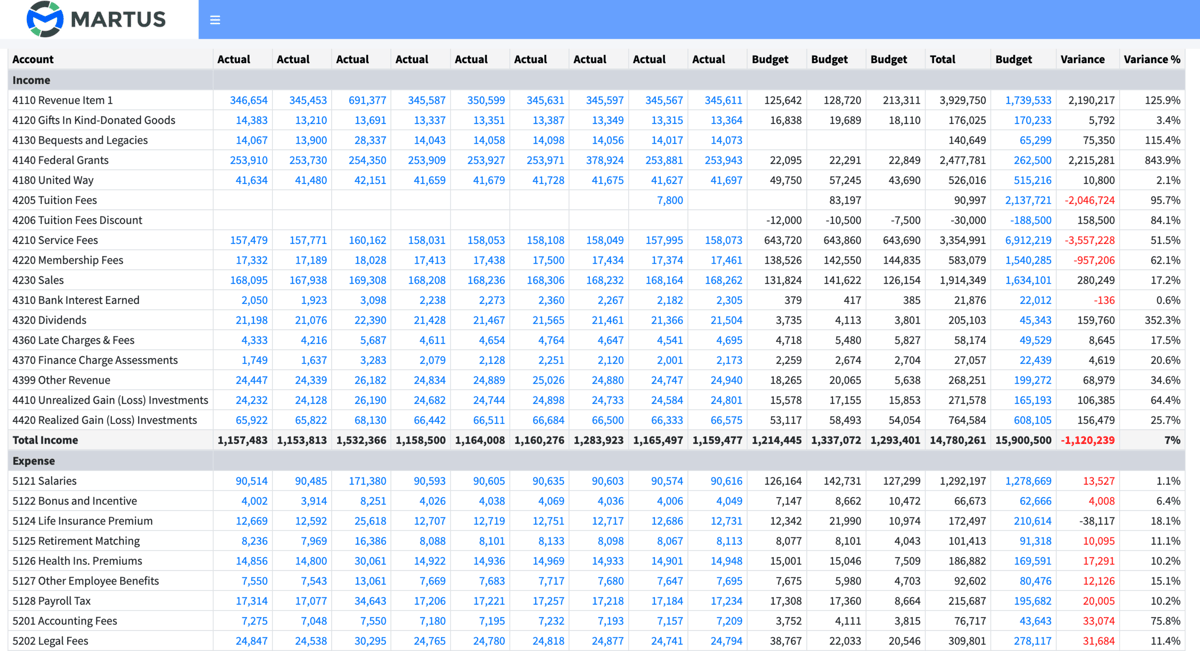 Martus Solutions | Flexible Budgeting Software